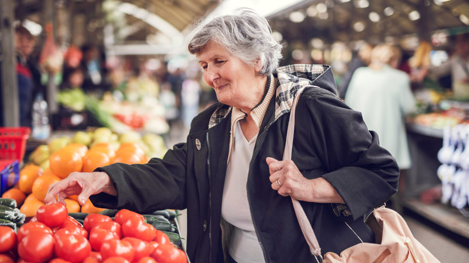 LifeCurve Insights - The LifeCurve