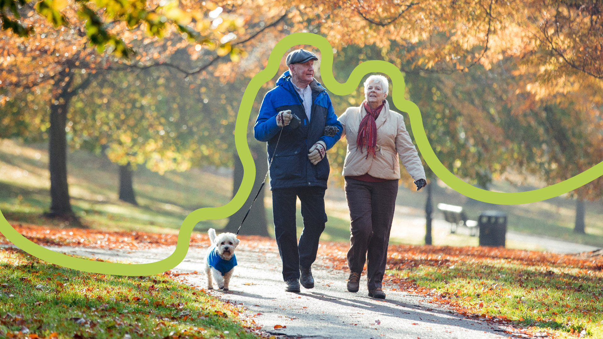 The LifeCurve - The LifeCurve